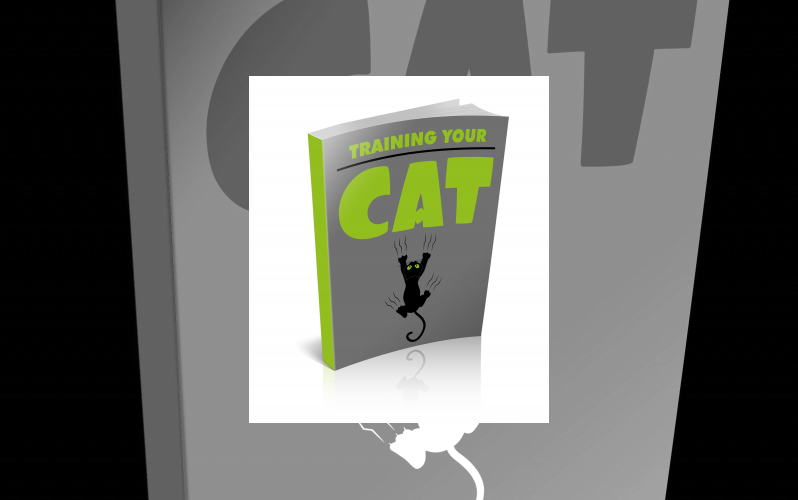 Training Your Cat sold by Ivana Soldat | eBookLingo